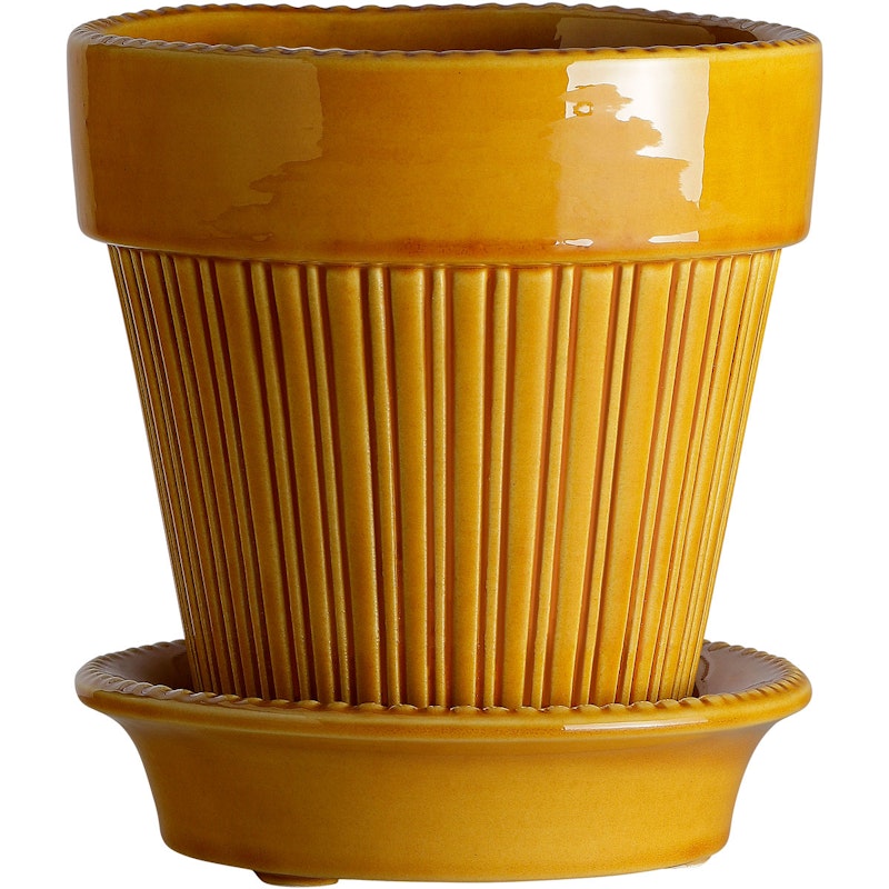 Yellow flower pot store